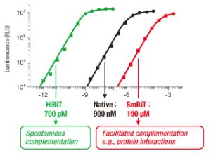 HiBiT_products – Promega