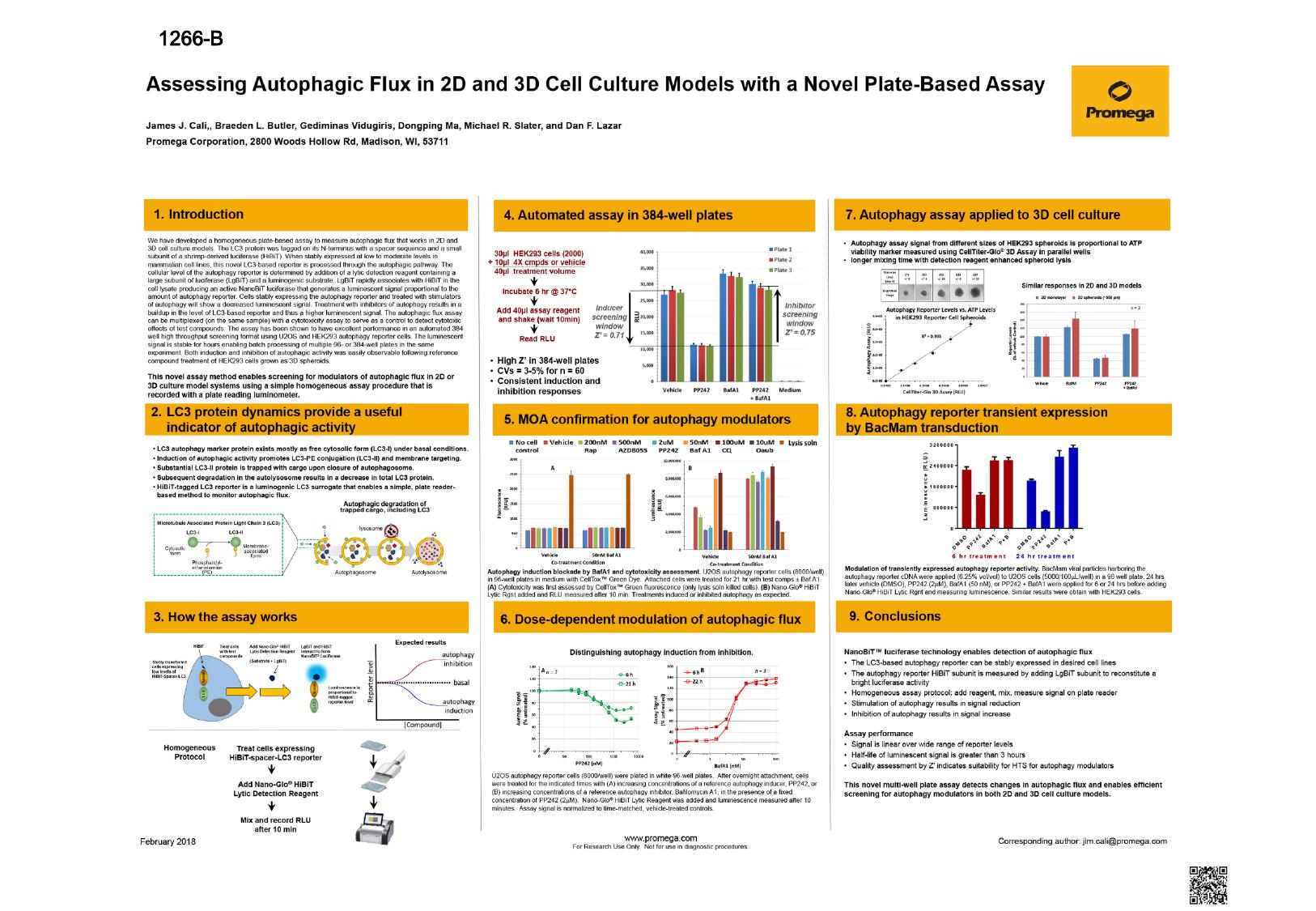Assessing Autophagic Flux in 2D and 3D Cell Culture Models with a Novel ...