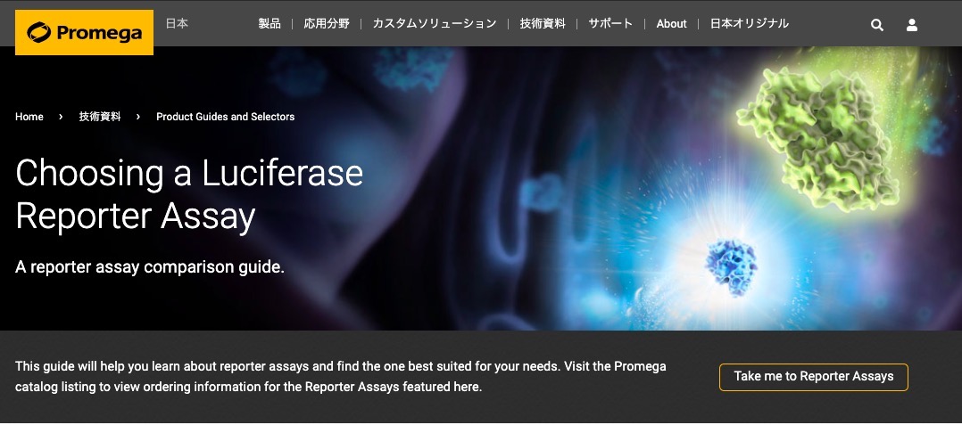 レポーターアッセイ試薬選択 – Promega