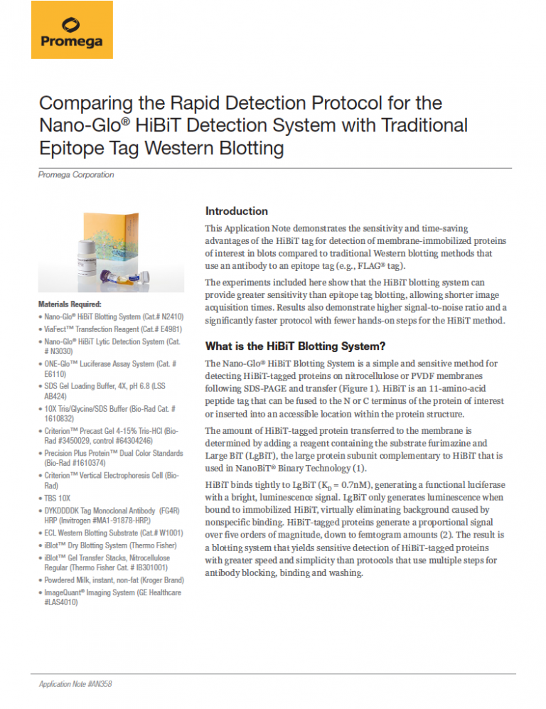 an358-hibit-blotting – Promega